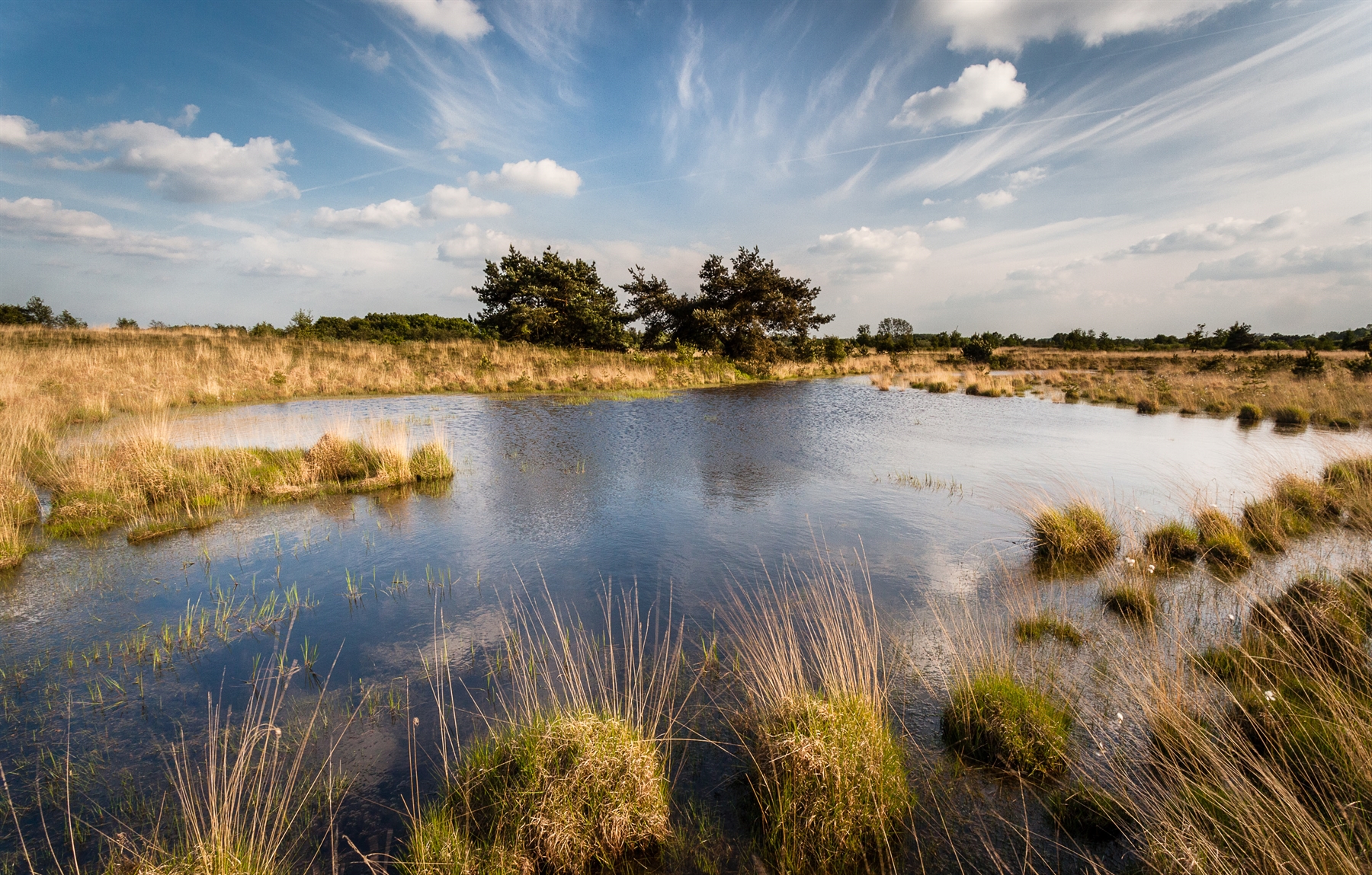 Natuurdoelanalyses - Brabant