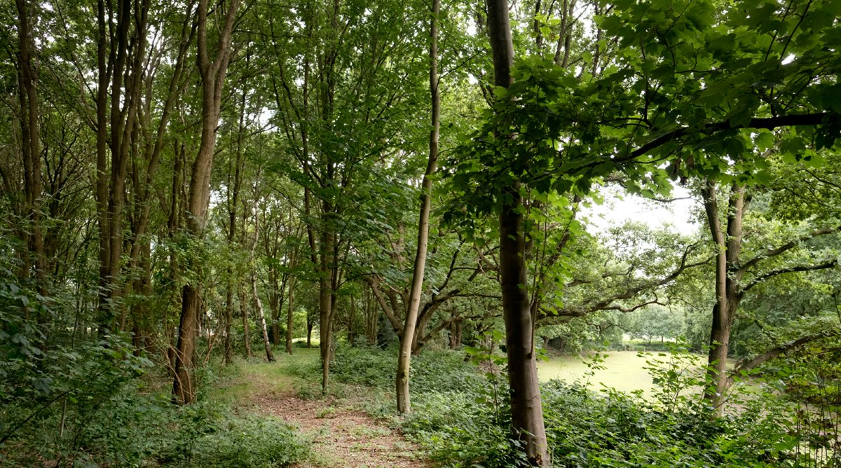 Natuur en landschap - Brabant