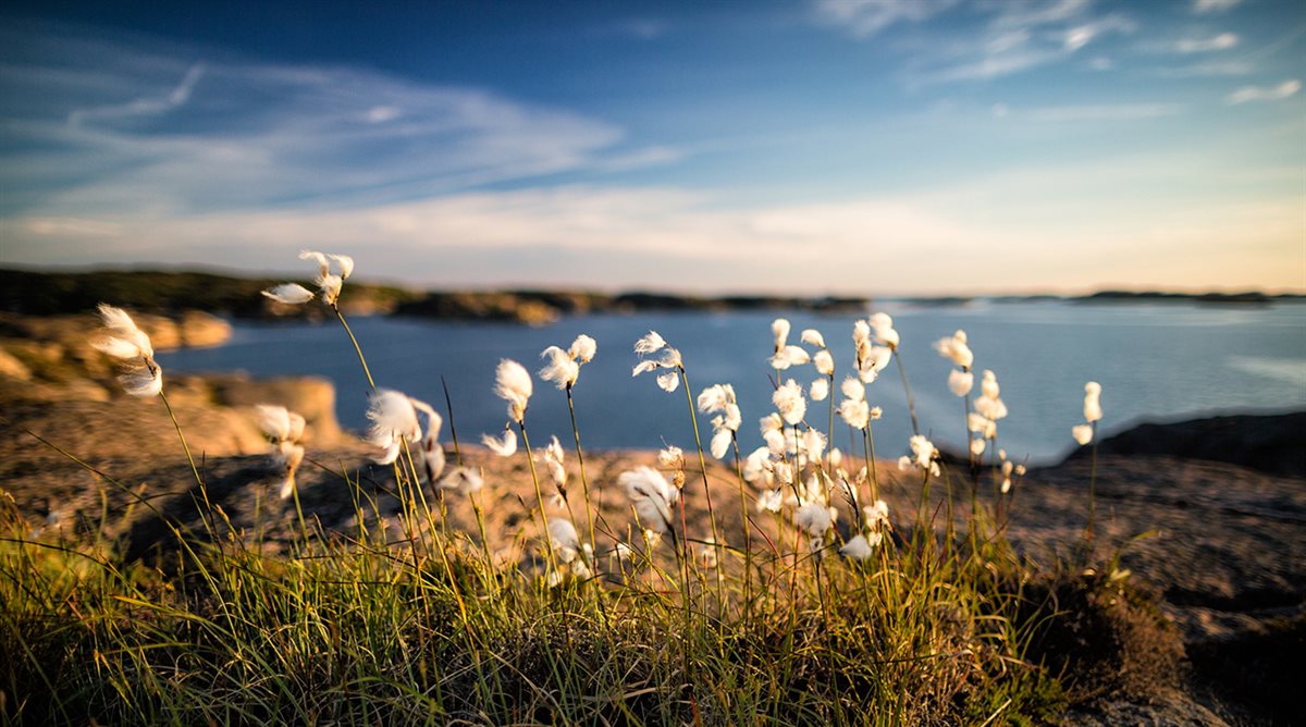 Natuur en landschap | Brabant